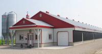 China Prerfabricated Steel Structure Layer Chicken House Poultry Shed Construction for sale