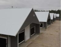 China Prerfabricated Steel Structure Layer Chicken House Poultry Shed Construction for sale