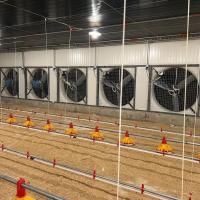 China High Quality Chicken Cage Farm House Chicken Poultry Building Egg Incubator Machine Equipment for sale