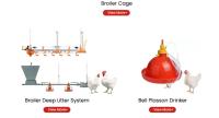 China High Quality Chicken Cage Farm House Chicken Poultry Building Egg Incubator Machine Equipment for sale