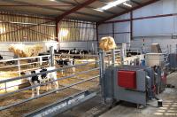 China Weather Resistant Steel Structure Cattle Shed for Outdoor Farm Breeding Livestock Shelter for sale