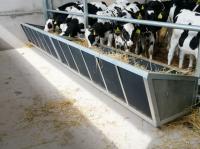 China Weather Resistant Steel Structure Cattle Shed for Outdoor Farm Breeding Livestock Shelter for sale