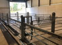 China Weather Resistant Steel Structure Cattle Shed for Outdoor Farm Breeding Livestock Shelter for sale