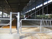 China Steel Structure Cattle Feeding and Milking Sheds Sale for sale