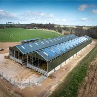 China Automatic Climate-Controlled Poultry House with Galvanized Steel Frame and Prefabricated Construction for sale