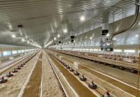 China High-Density Health & Welfare Breeder Cage for Leg Health & Uniform Breeding Performance for sale