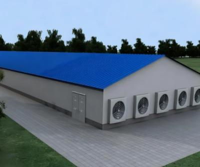China Weather-Resistant Steel Structure Factory Building Steel Structure Nsw Farm Shed for sale