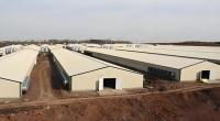 China Weather-Resistant Steel Structure Factory Building Steel Structure Nsw Farm Shed for sale
