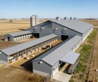 China Custom-Sized Light-Transmitting Anti-Rust Agricultural Livestock Steel Cattle Sheds, Chicken Coops & Horse Stables for sale
