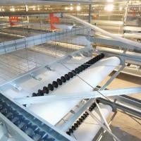 China CE Approved Automatic Feeding System Poultry Farm Equipment with Hot-DIP Galvanized Broiler Chicken Farm Equipment for sale