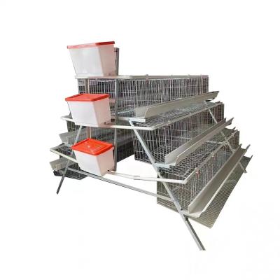 China Galvanized Steel A Type Layer Cage System with Low Maintenance and Customizable Dimensions for Poultry Farm Equipment for sale