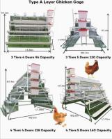China Galvanized Steel A Type Layer Cage System with Low Maintenance and Customizable Dimensions for Poultry Farm Equipment for sale