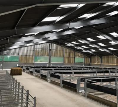 China Pre-Engineered Cattle Shelter-36m Clear Span, Q355b Steel, 5m Height, 200-Cow Capacity for sale