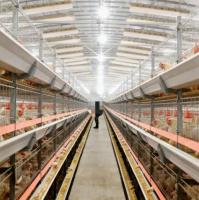 China Prefabricated High-Strength Windproof Waterproof Efficient-Assembly Steel Cattle Sheds, Chicken Coops & Horse Stables for sale