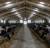 China Prefabricated High-Strength Windproof Waterproof Efficient-Assembly Steel Cattle Sheds, Chicken Coops & Horse Stables for sale