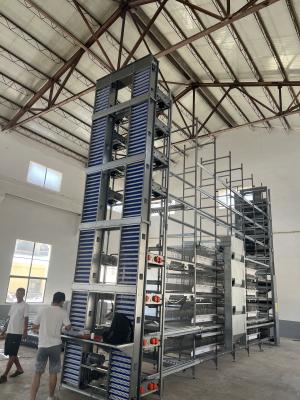 China Agricultural Farming Equipment: Automatic Poultry Feeding System for Chicken Farm for sale