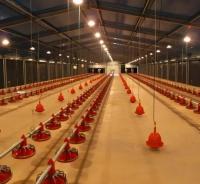 China Large Capacity Chicken Coop Bolt-Connected Steel Poultry Shed for sale