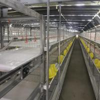 China Factory Price Agricultural Machinery 4 Layer Egg Cage Egg House Poultry Breeding Equipment for sale