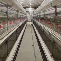 China Factory Price Agricultural Machinery 4 Layer Egg Cage Egg House Poultry Breeding Equipment for sale