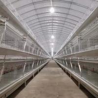China Factory Price Agricultural Machinery 4 Layer Egg Cage Egg House Poultry Breeding Equipment for sale