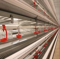China Factory Price Agricultural Machinery 4 Layer Egg Cage Egg House Poultry Breeding Equipment for sale