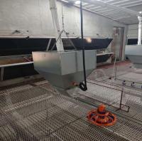 China Poultry Chicken House Auxiliary Feed Line Equipment with Feed Hopper and Pan Distribution System for sale