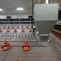 China Poultry Chicken House Auxiliary Feed Line Equipment with Feed Hopper and Pan Distribution System for sale
