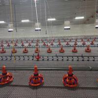 China Poultry Chicken House Auxiliary Feed Line Equipment with Feed Hopper and Pan Distribution System for sale