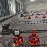 China Poultry Chicken House Auxiliary Feed Line Equipment with Feed Hopper and Pan Distribution System for sale