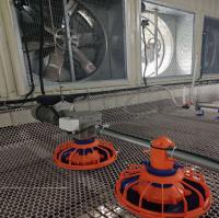 China Poultry Chicken House Auxiliary Feed Line Equipment with Feed Hopper and Pan Distribution System for sale