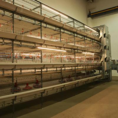 China Broiler Breeding Machine Chicken Poultry Breeding Houses Chicken Farm Equipment for sale