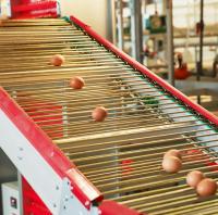 China Broiler Breeding Machine Chicken Poultry Breeding Houses Chicken Farm Equipment for sale