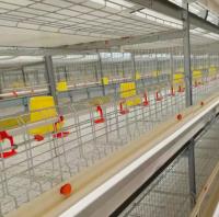 China Broiler Breeding Machine Chicken Poultry Breeding Houses Chicken Farm Equipment for sale
