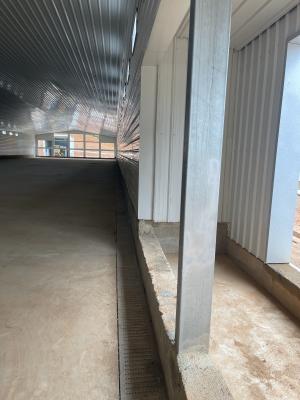 China Fully automated feeding & drinking system Automatic cage rearing equipment Hygienic & easy to clean for sale