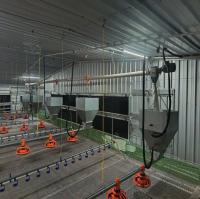 China Intelligent Environmental Poultry House with AI-Driven Climate Control, Real-Time Data Monitoring, and Precision Feeding System for sale