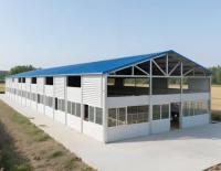 China Customized H Section Steel Poultry House with 20+ Years Lifespan for Organic Chicken Farming for sale