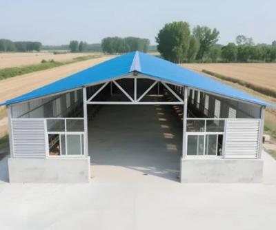 China Steel Structure Poultry Farm Chicken Coop for sale
