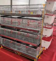 China Heavy-Duty Multi-Tier Durable Poultry Cage for Broiler and Layer Farming for sale