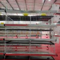 China Heavy-Duty Multi-Tier Durable Poultry Cage for Broiler and Layer Farming for sale