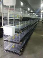 China Heavy-Duty Multi-Tier Durable Poultry Cage for Broiler and Layer Farming for sale