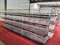 China Heavy-Duty Multi-Tier Durable Poultry Cage for Broiler and Layer Farming for sale
