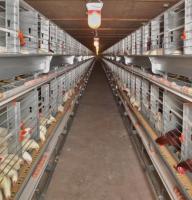 China Energy Efficient Climate Controlled Poultry House with Modular Design Feeding Line for sale