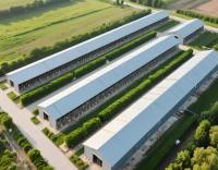 China Convenient Feeding Smooth Drainage Prefabricated Steel Structure Chicken House for sale