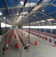 China Energy Efficient Climate Controlled Poultry House with Modular Design Feeding Line for sale