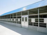 China Reduced Environmental Pollution Strong Wind Resistance Prefabricated Steel Structure Chicken House for sale