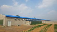 China Corrosion Resistant Energy Saving Automatic Feed Poultry Ventilation System for Chicken House for sale