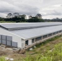 China Corrosion Resistant Energy Saving Automatic Feed Poultry Ventilation System for Chicken House for sale