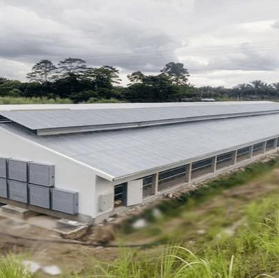 China Corrosion Resistant Energy Saving Automatic Feed Poultry Ventilation System for Chicken House for sale