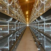 China Energy Efficient Climate Controlled Poultry House with Modular Design Feeding Line for sale