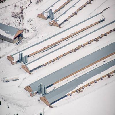 China Energy-Efficient Climate-Controlled Prefabricated Poultry House for Modern Chicken Farm for sale